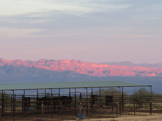 Gallery - Hay Creek Ranch